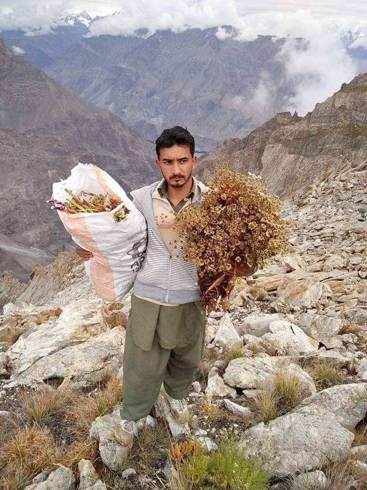 شمدون - Nukta Guidance